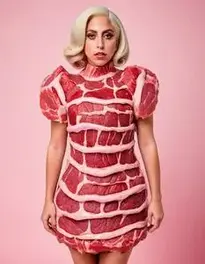 Meat Dress Fancy Dress Face Swap