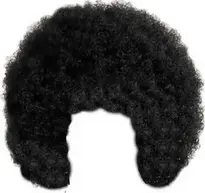 Free Add Afro Hairstyle To Your Photo
