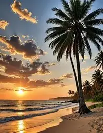 Scarface Palm Tree Sunset Wallpaper Add Your Photos