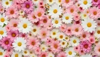 Free Flower Wall Texture Design Wallpaper Add Your Photos