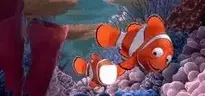 Free Koi Fish Face Swap