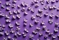 Free Violet Aesthetic Wallpaper Add Your Photos