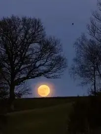 Free Moon Sad Wallpaper Add Your Photos