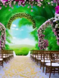 Free Wedding Photoshoot Background